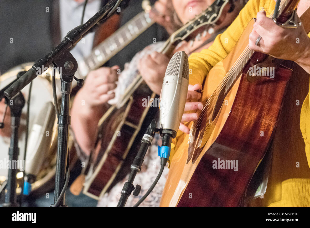 Group of musicians hi-res stock photography and images - Alamy