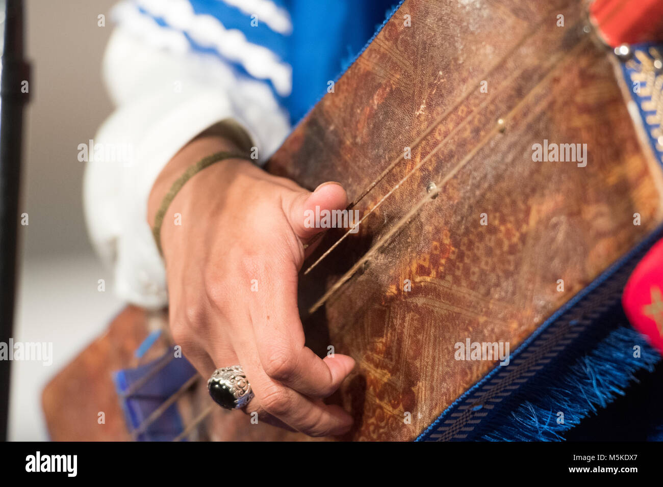 Up close view of hand strumming strings of a sintir, Greensboro, North ...