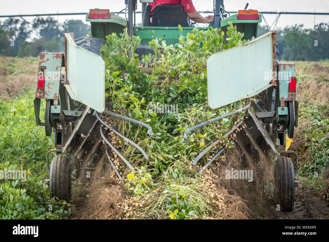 Peanut Harvesting Equipment