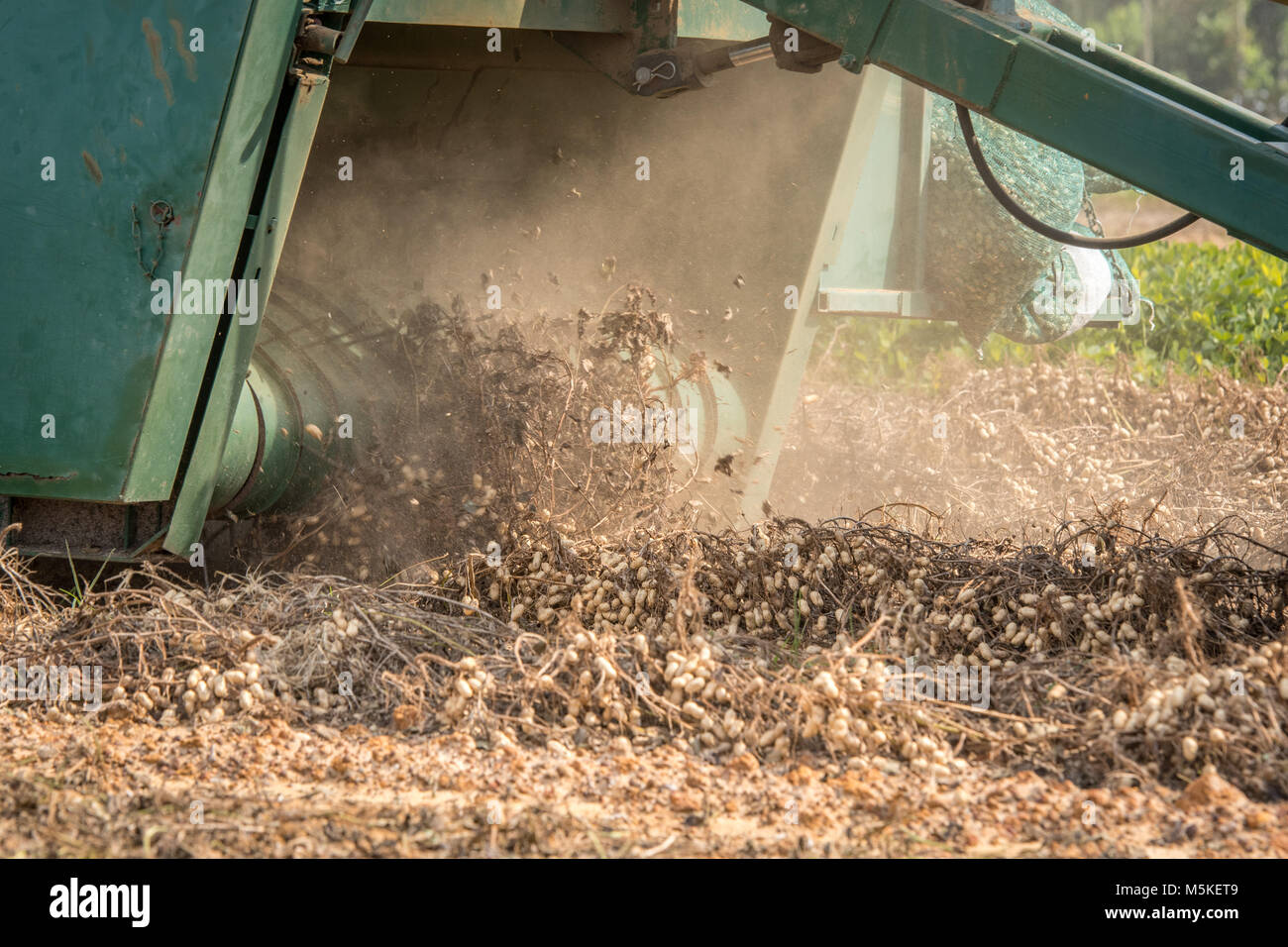 Nut harvester hi-res stock photography and images - Alamy