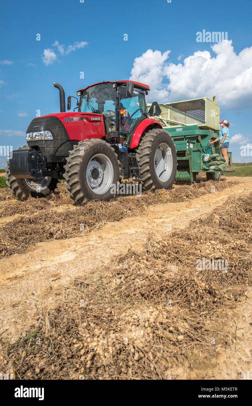 Female harvester on hi-res stock photography and images - Alamy