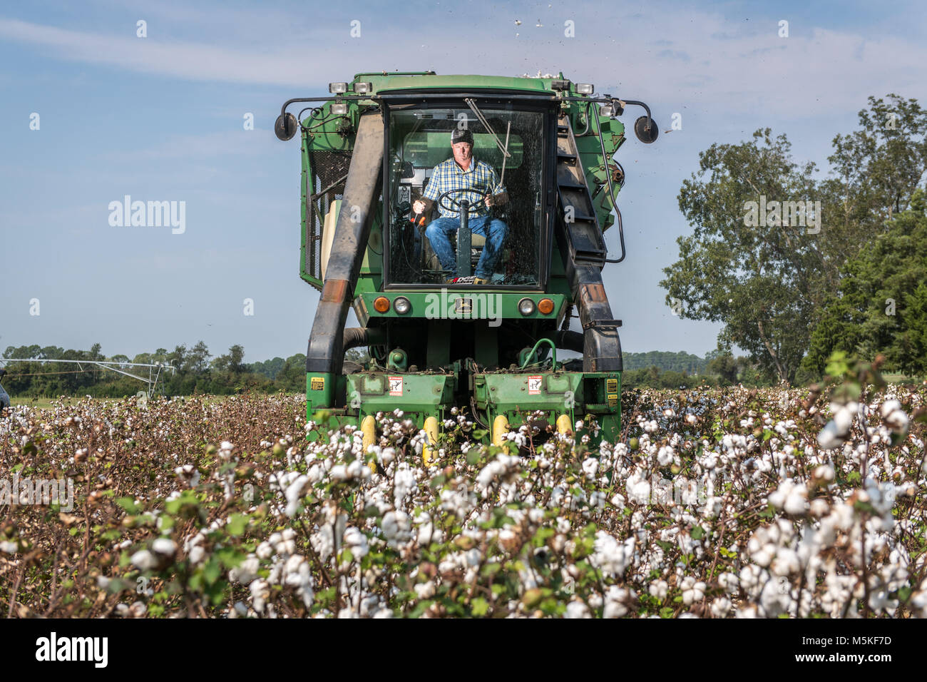 Cotton picker hi-res stock photography and images - Alamy
