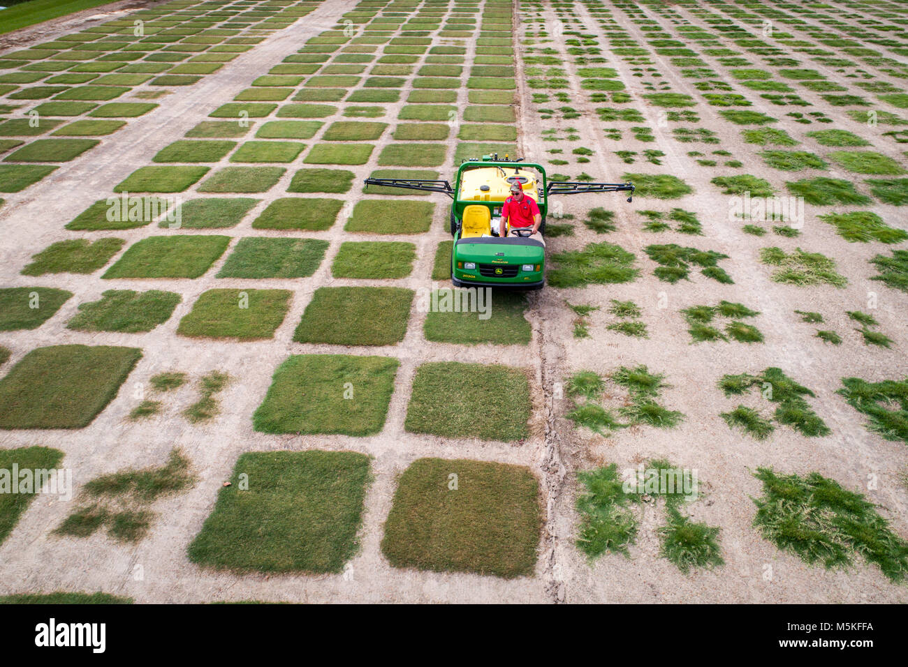 Spraying grass hi-res stock photography and images - Alamy