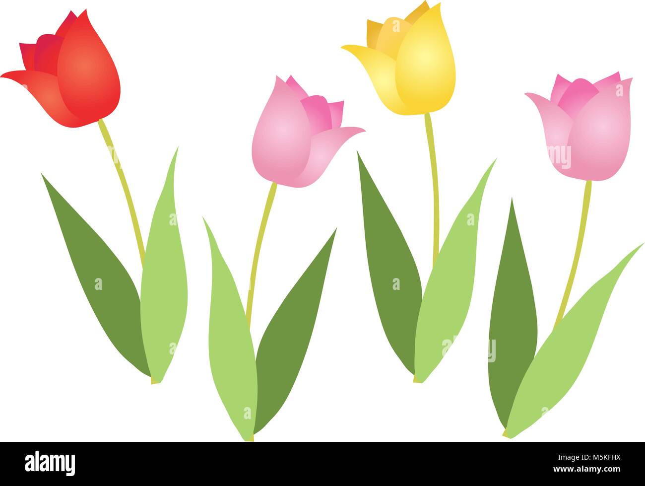 An illusration of four different colored Tulips Stock Vector Image ...