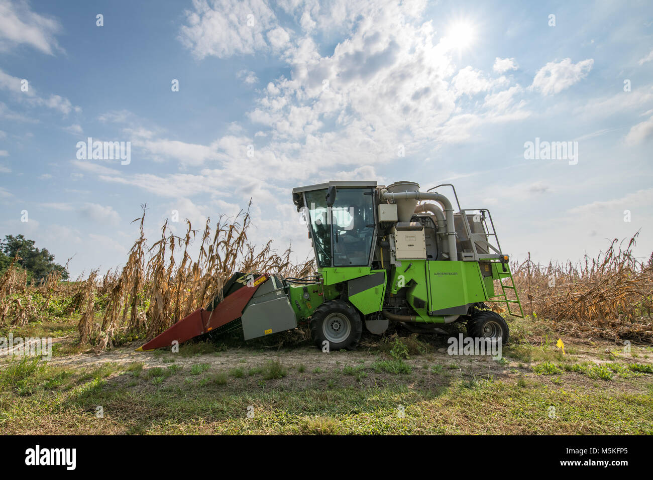 Side view of man driving combine harvester through corn field, Tifton ...