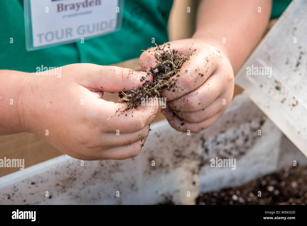 Child hands working soul in between fingers while gardening, Crellin ...