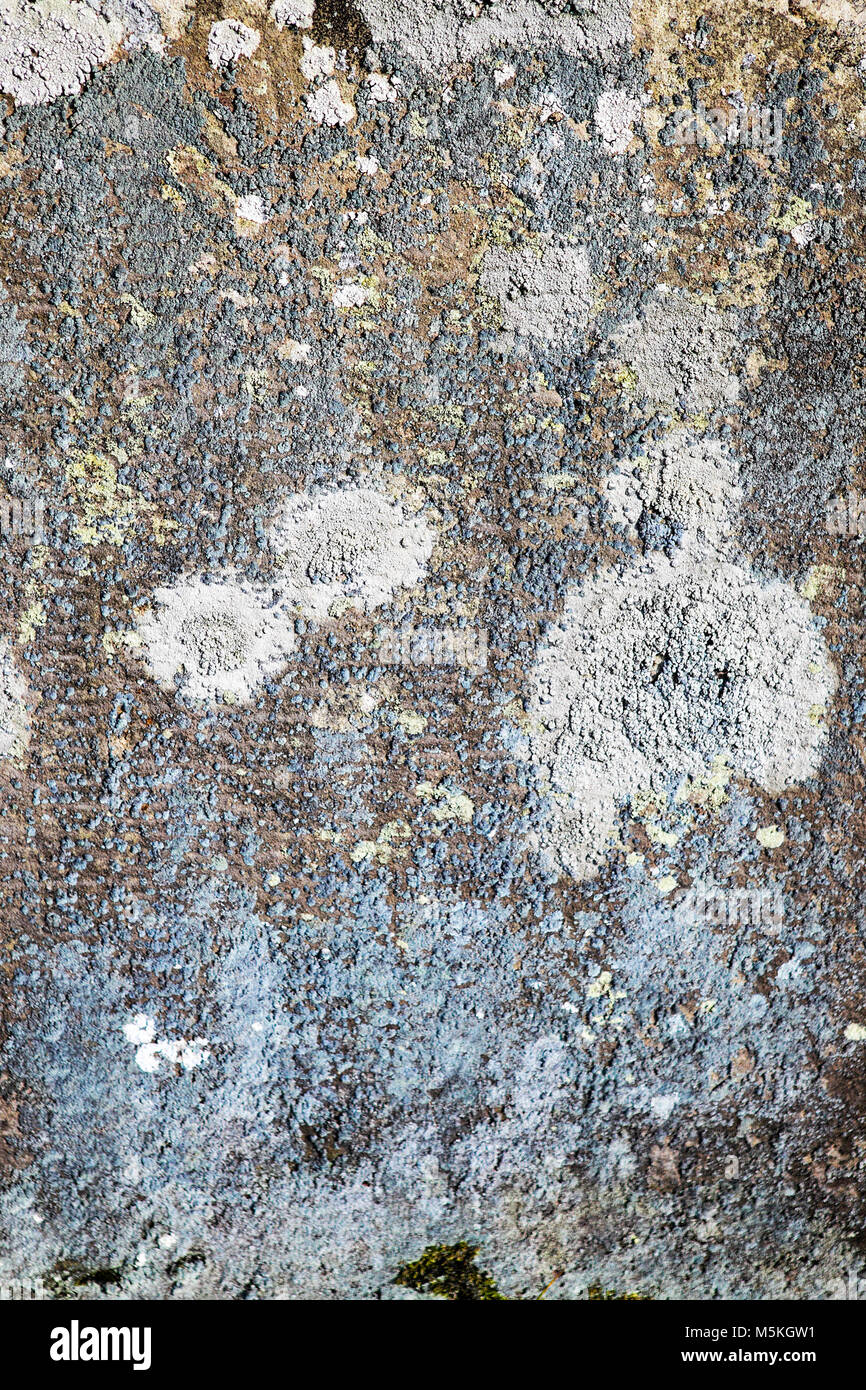 One of (23) images relating to surfaces, textures, headstones and ...