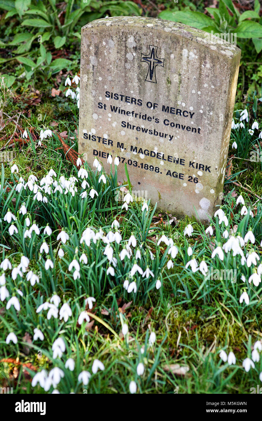 One of (23) images relating to surfaces, textures, headstones and ...