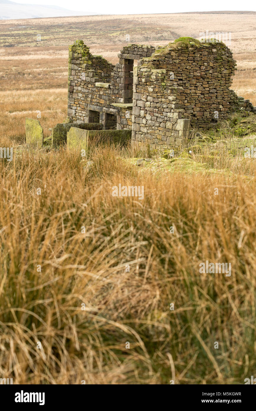 Moors sheep lancashire hi-res stock photography and images - Alamy
