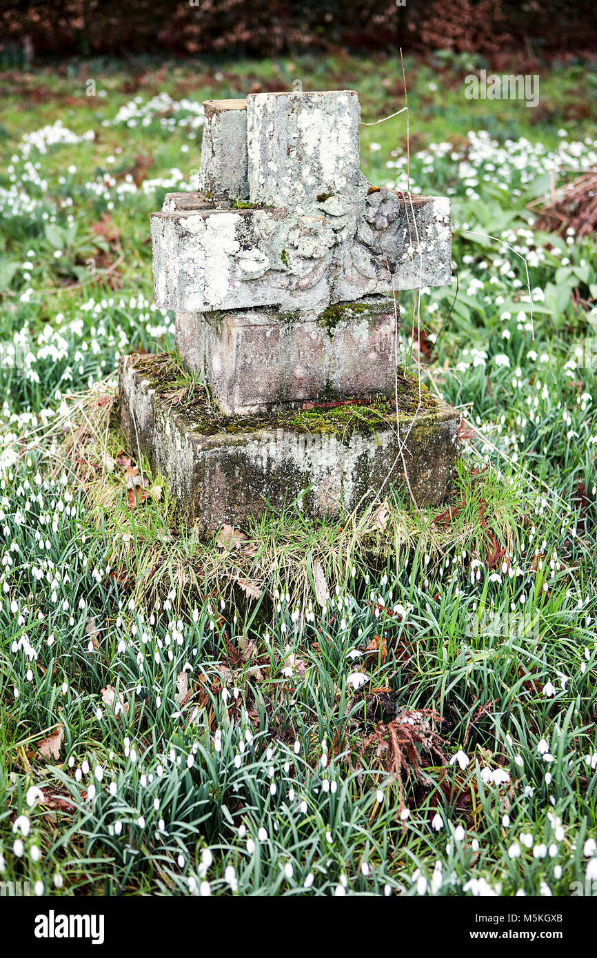 One of (23) images relating to surfaces, textures, headstones and ...