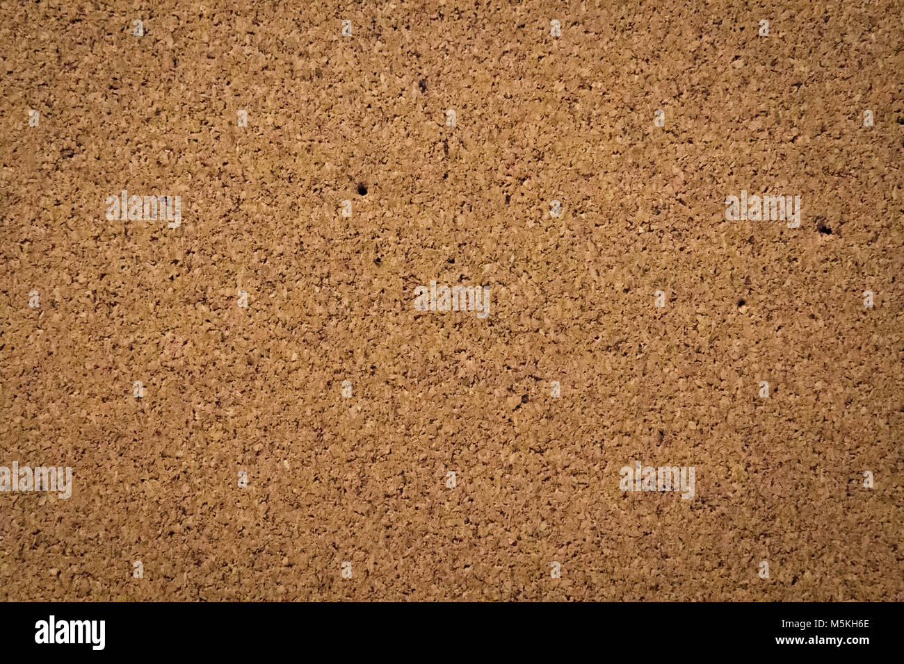 Framed Cork Board Texture