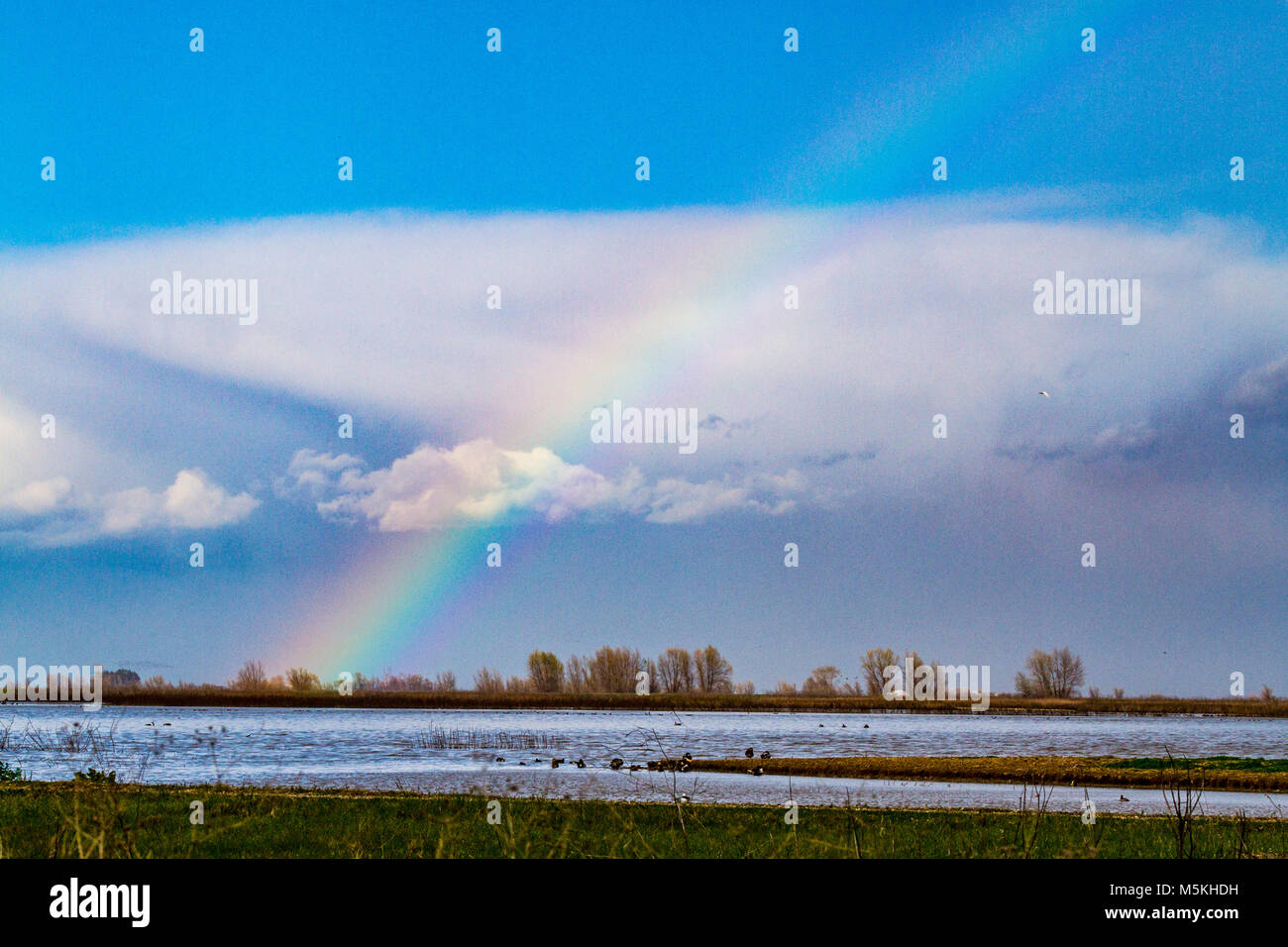 At the Colusa Sacramento National Wildlife Refuge in Colua county ...