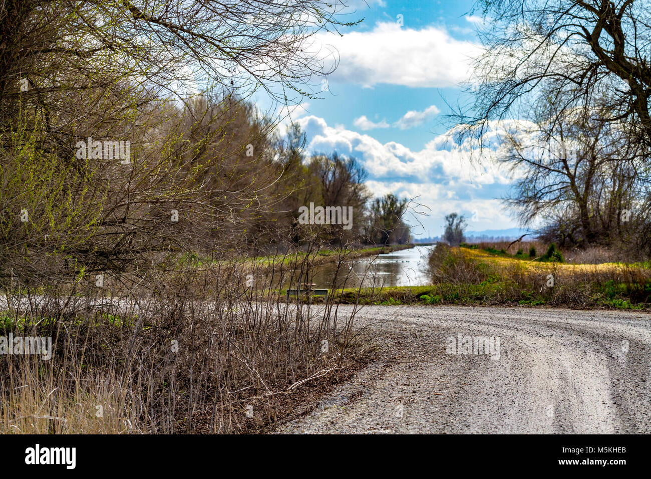 At the Colusa Sacramento National Wildlife Refuge in Colua county ...