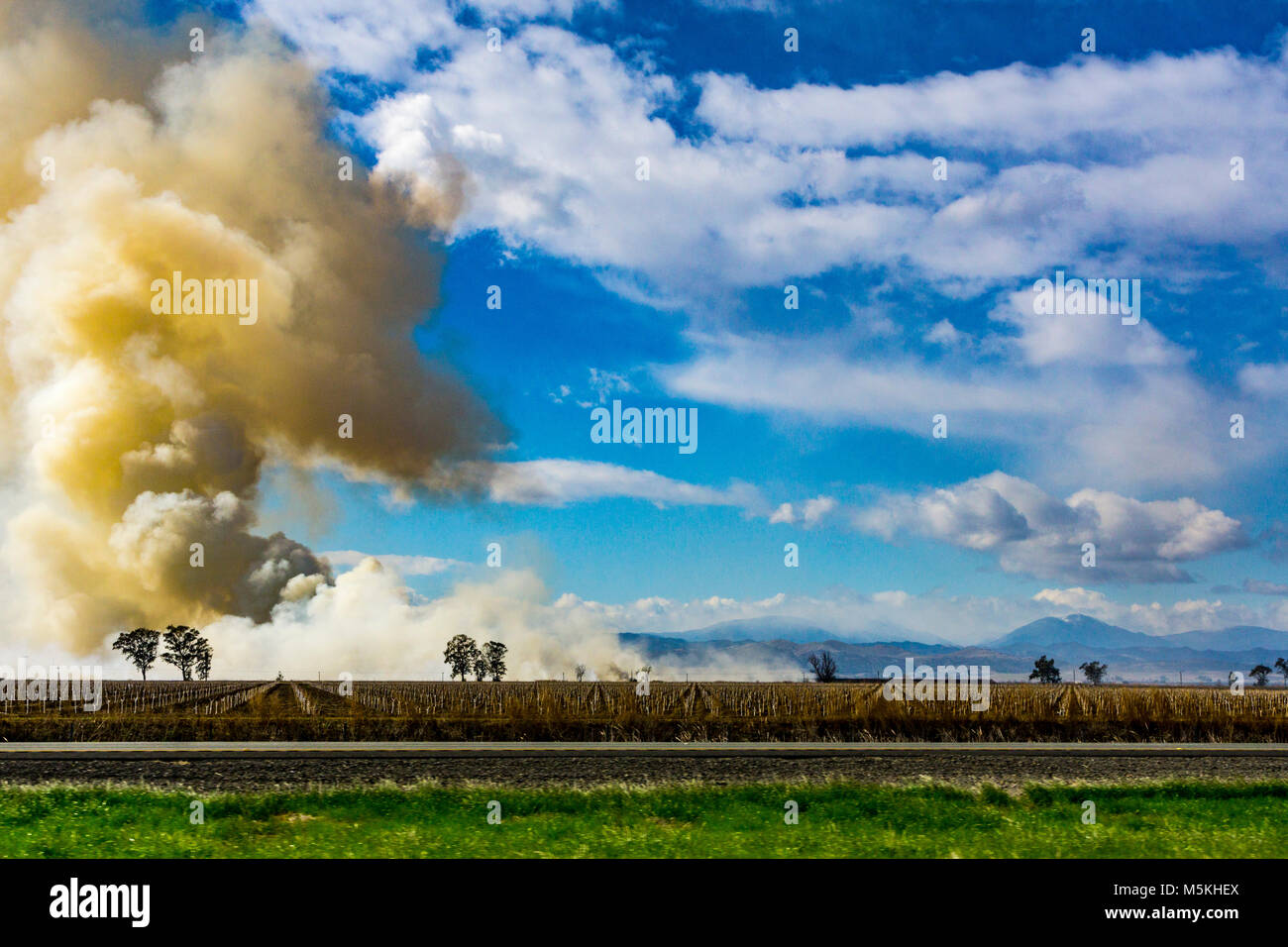 At the Colusa Sacramento National Wildlife Refuge in Colua county ...