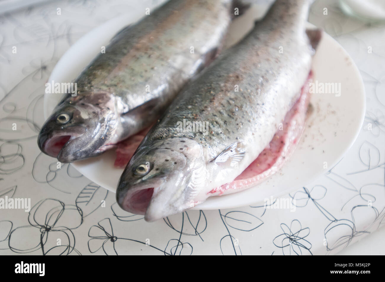 Raw fish river trout on the plate Stock Photo - Alamy