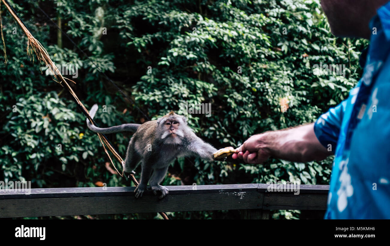 Giving food in zoo hi-res stock photography and images - Alamy