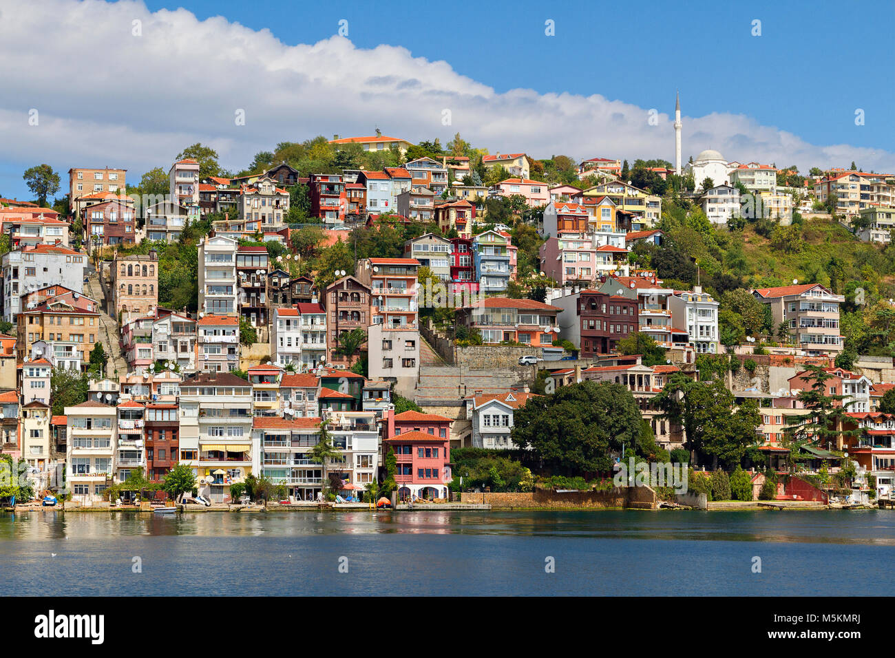 Front of turkey hi-res stock photography and images - Alamy