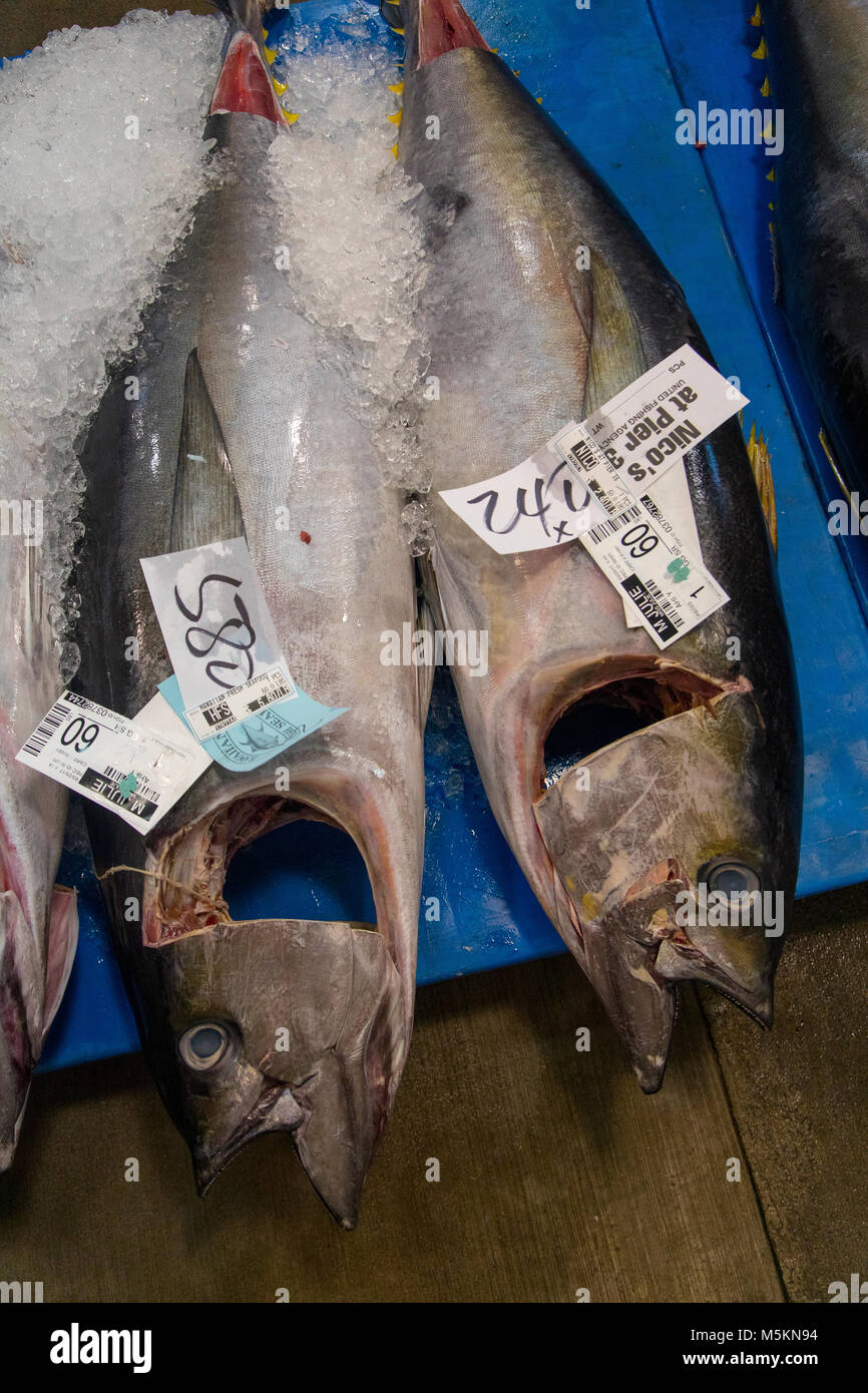 Oahu fish hi-res stock photography and images - Alamy