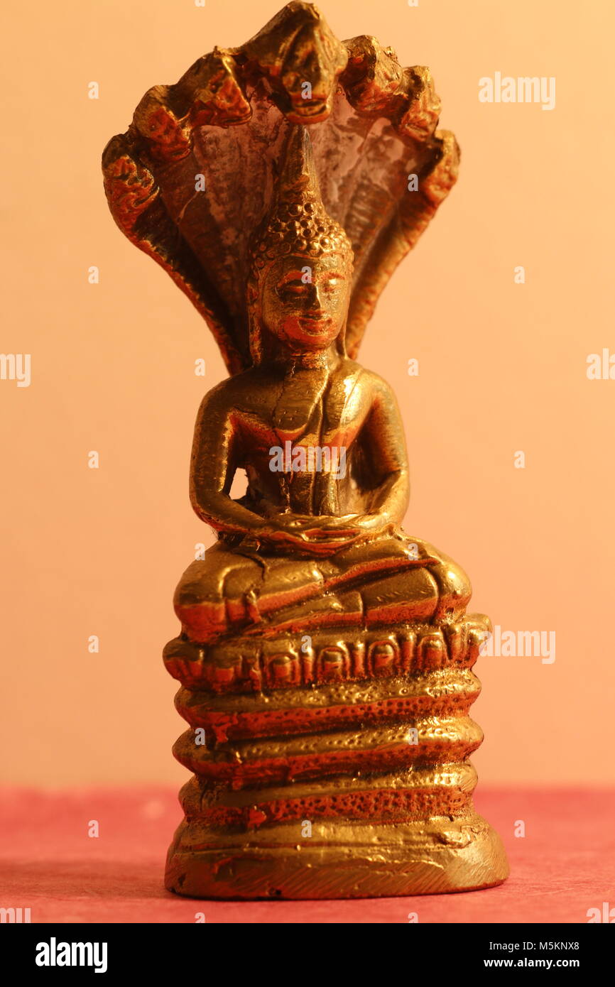 Seven headed snake hi-res stock photography and images - Alamy