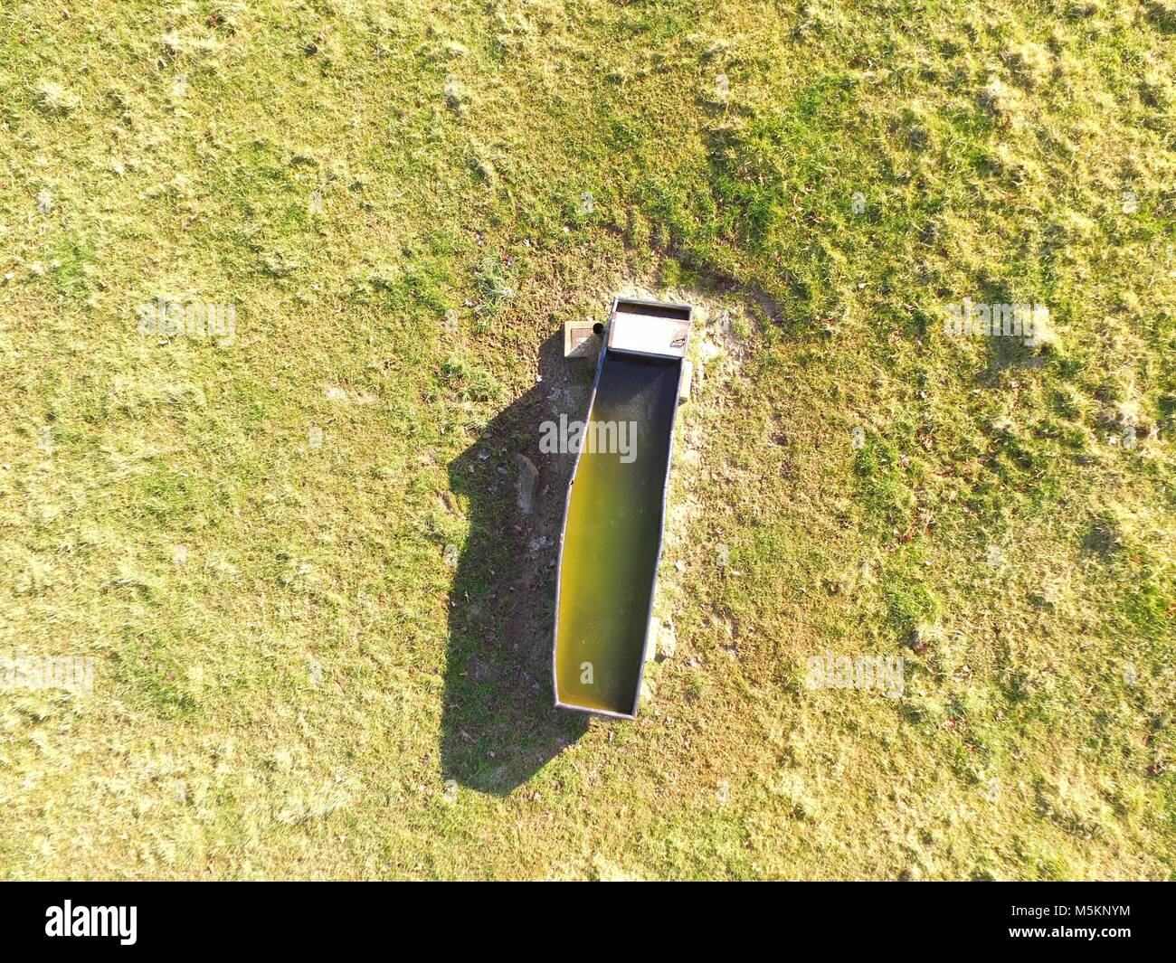 Aerial above view of a livestock water trough in a farm field Stock ...