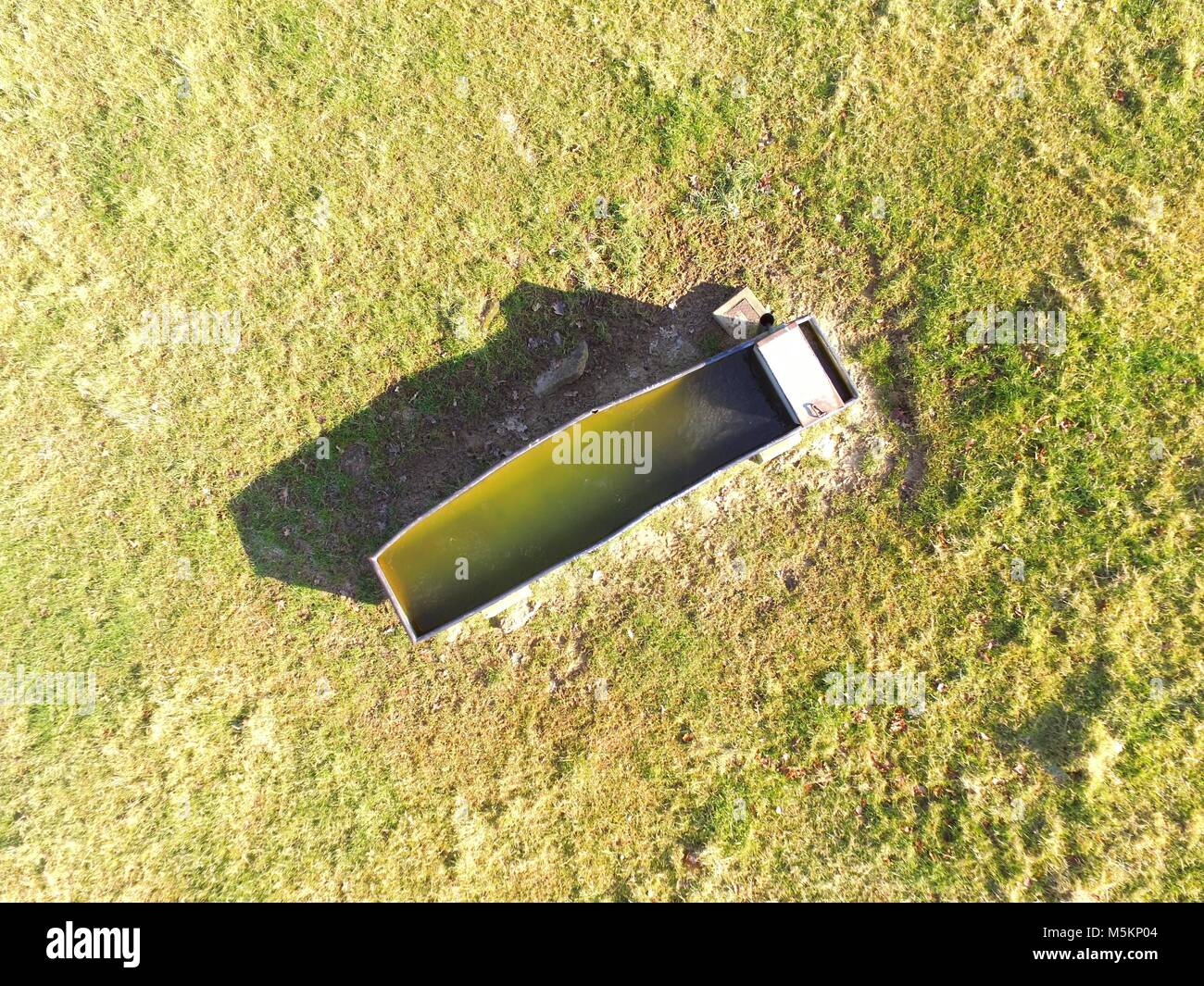 Cattle aerial field water hi-res stock photography and images - Alamy