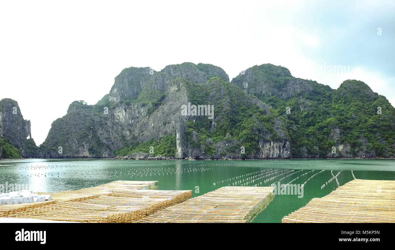Ha long bay vietnam pearl village hi-res stock photography and images ...