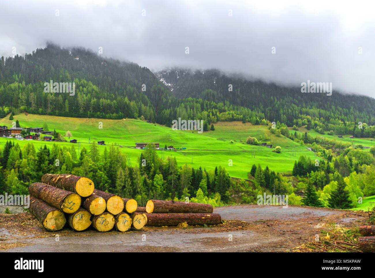 Lumbering hi-res stock photography and images - Alamy