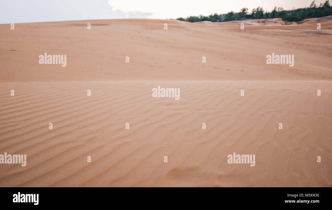 Empty sand dunes of Mue Ne in Vietnam during sunset Stock Photo - Alamy