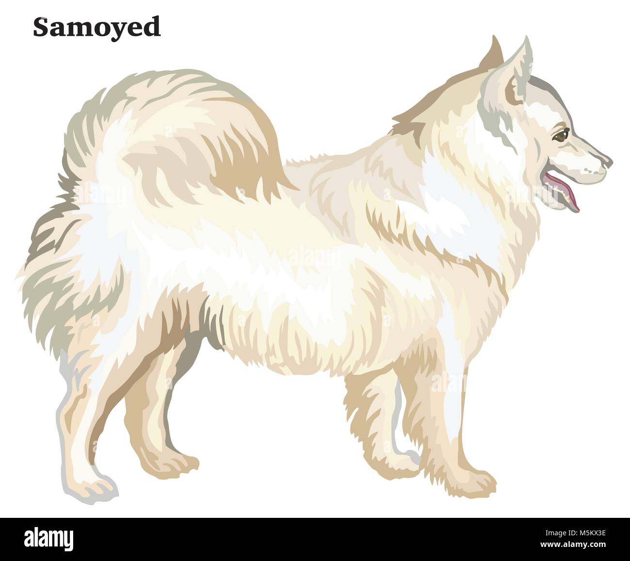 Samoyed dog Stock Vector Images - Alamy