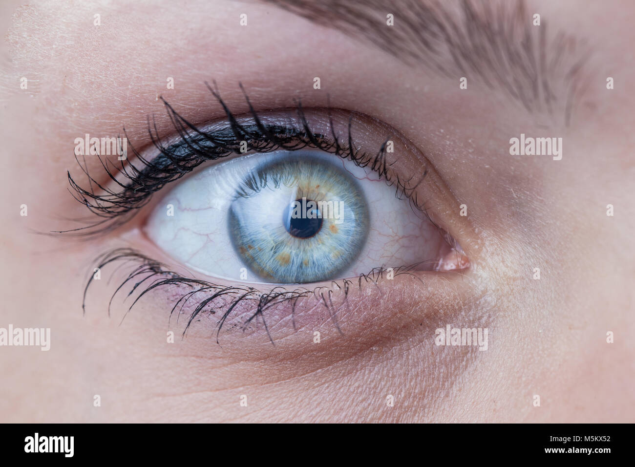 Close-up of a beautiful female blue eye Stock Photo - Alamy