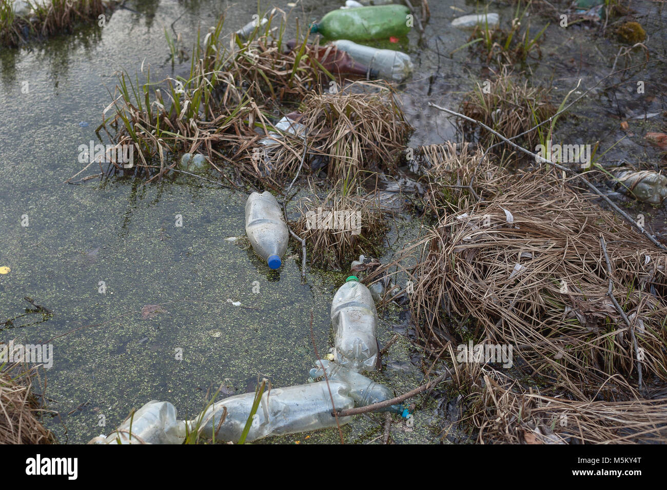 pollution of water bodies. ecological problem Stock Photo - Alamy