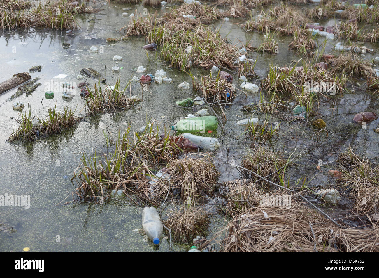 Water bodies contamination hi-res stock photography and images - Alamy