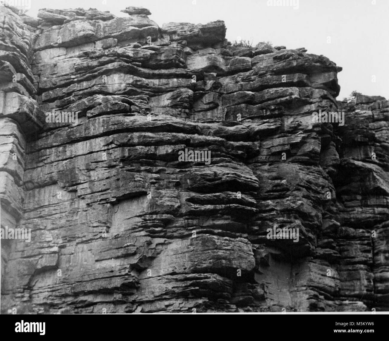 1955 grand national Black and White Stock Photos & Images - Alamy
