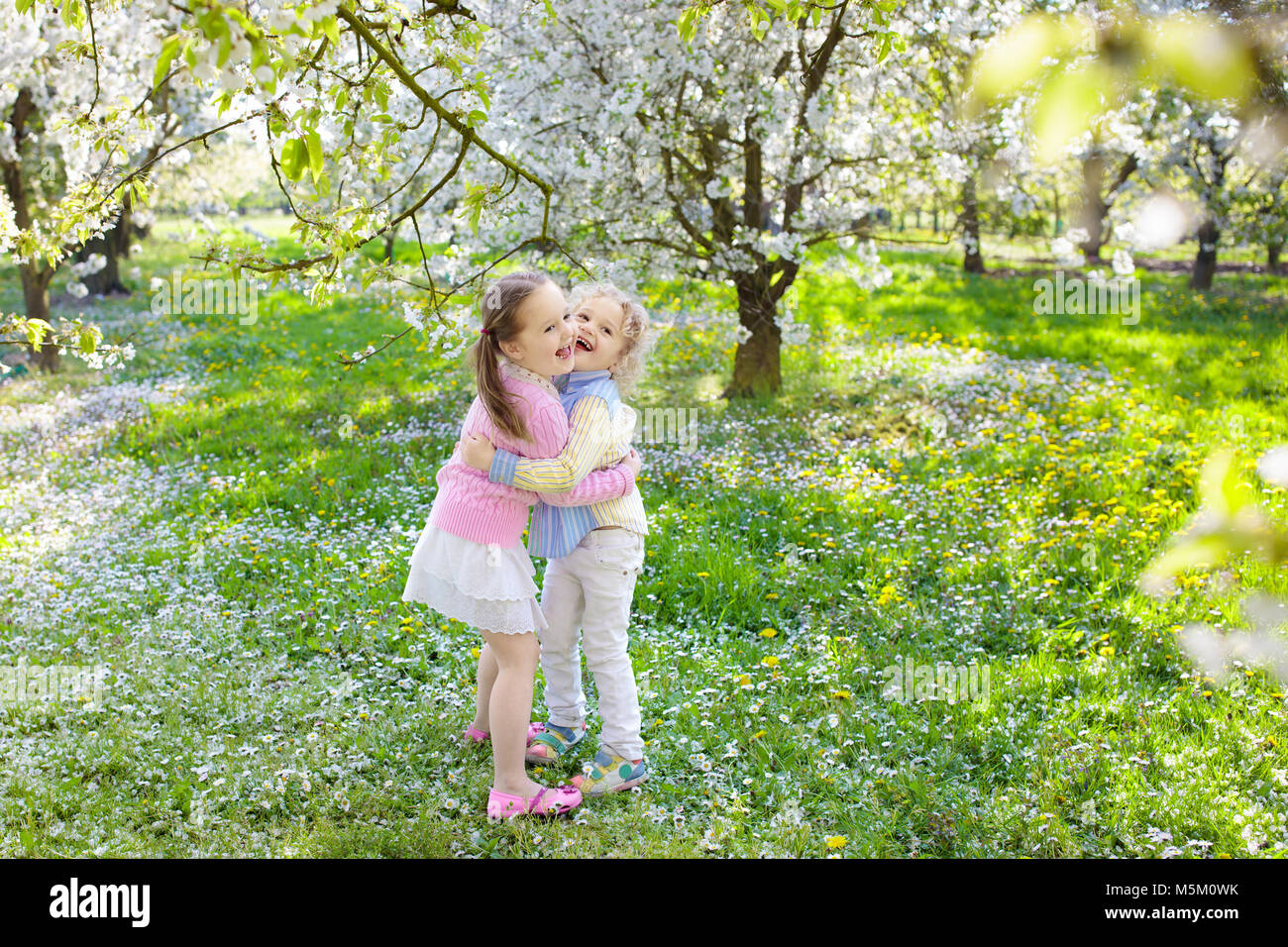 Kids playing in blooming cherry blossom garden. Little boy and girl ...