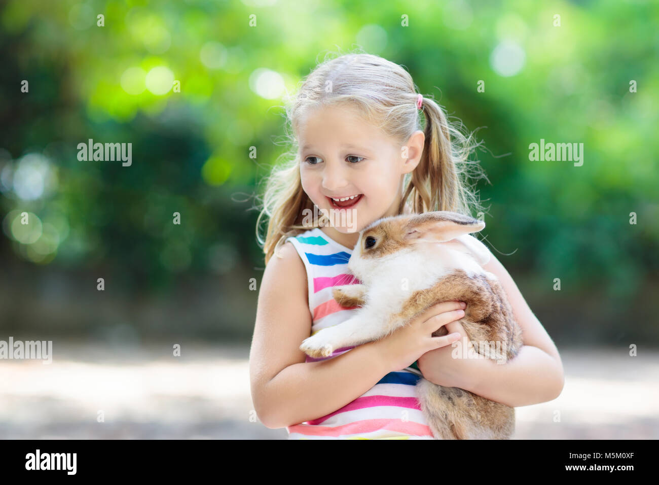 Child playing with white rabbit. Little girl feeding and petting white ...
