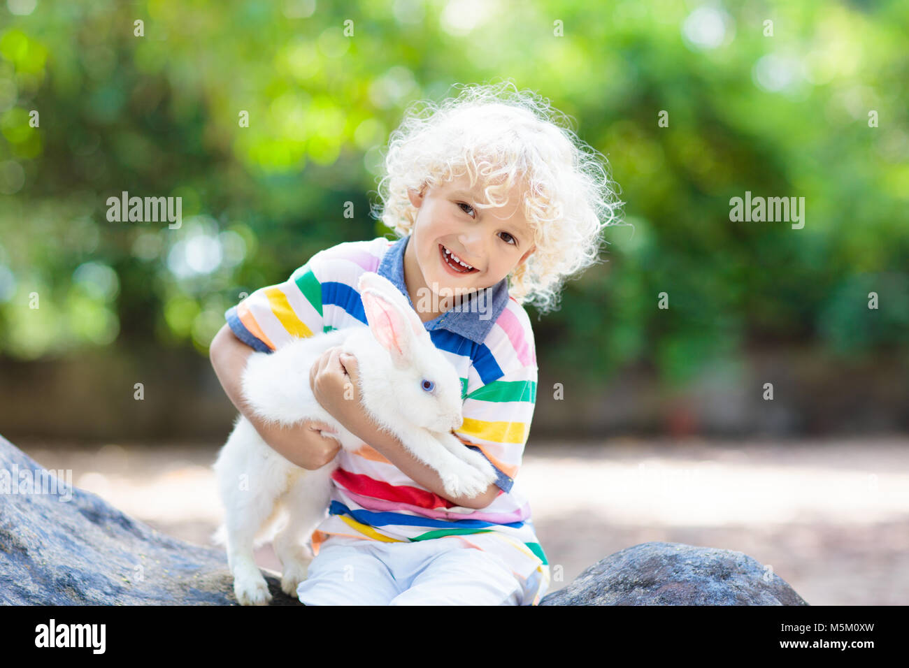 Child playing with white rabbit. Little boy feeding and petting white ...