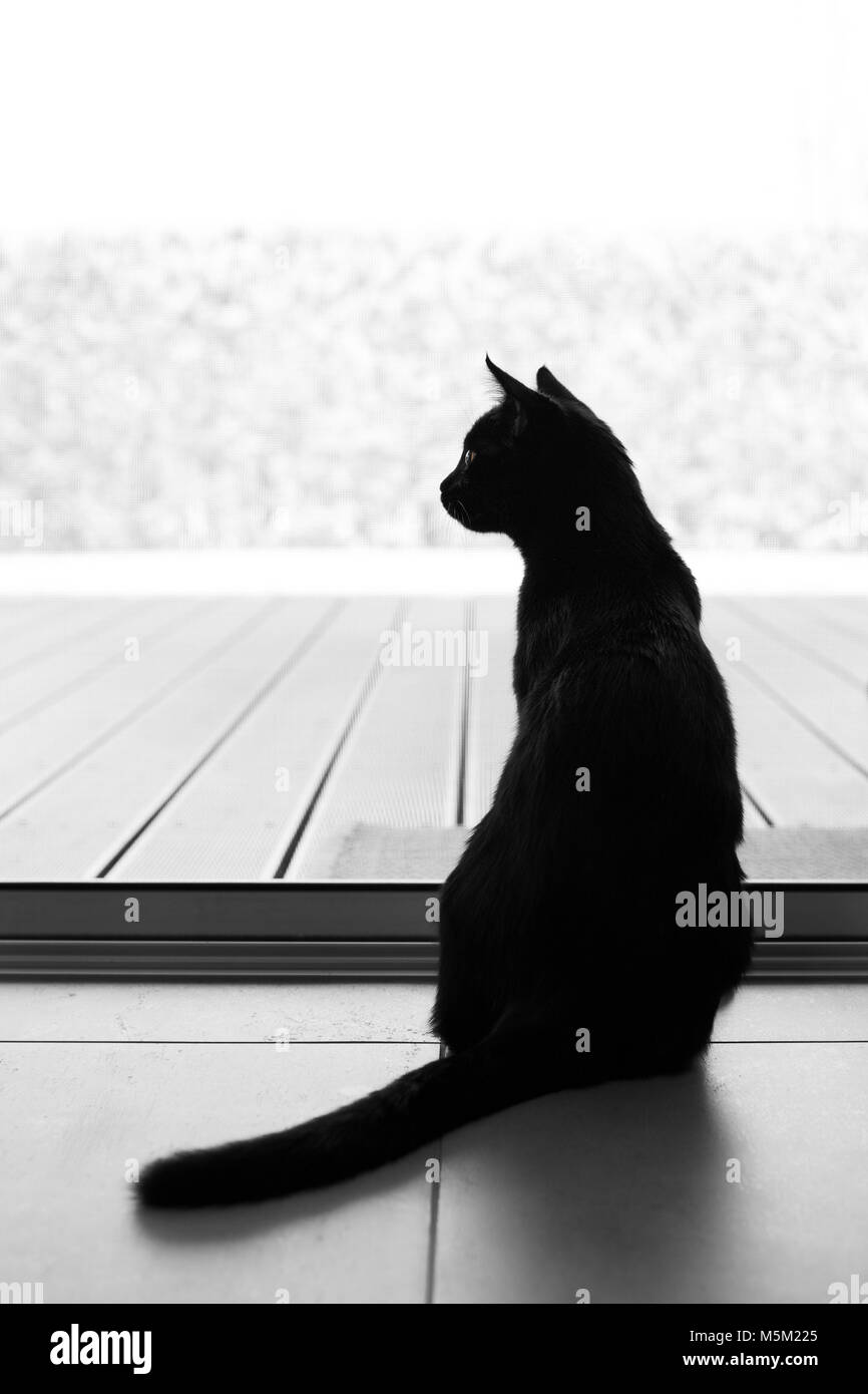 Black color guard Black and White Stock Photos & Images - Alamy