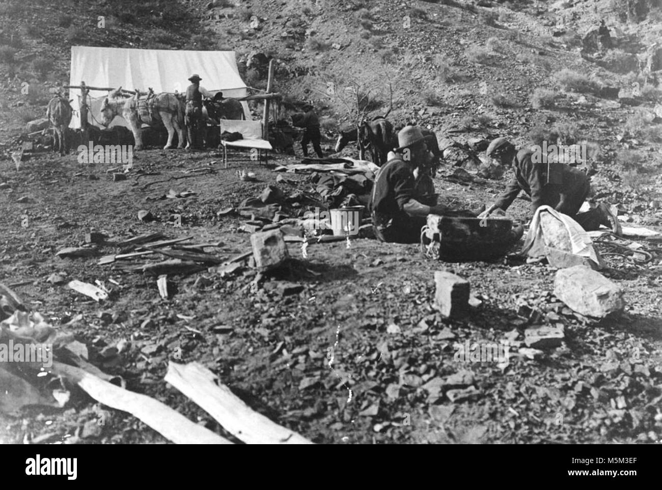 Grand Canyon Historic Bass Trails Shinumo Camp . W.W. BASS'S SHINUMO ...