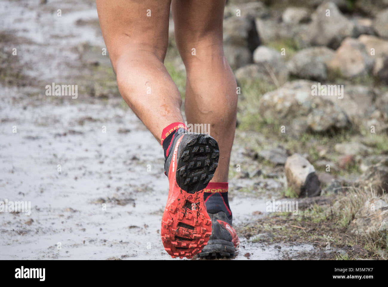 Low angle view of ultra marathon runner`s legs at the 80 km point of a ...