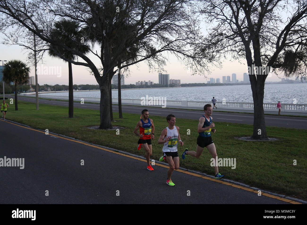 Bayshore boulevard hi-res stock photography and images - Alamy