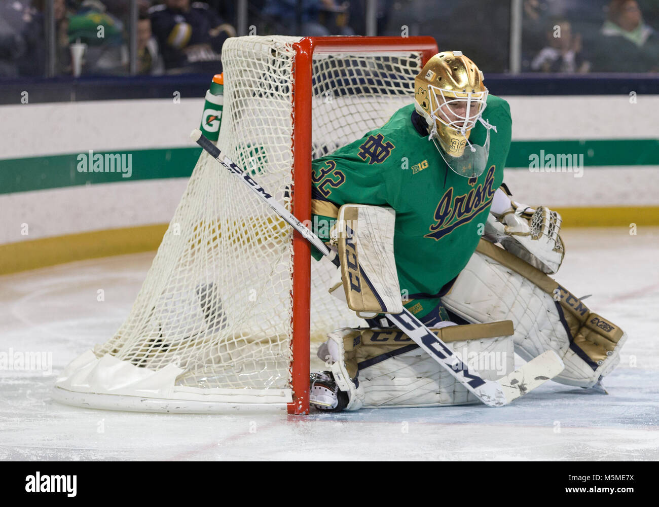 South Bend, Indiana, USA. 24th Feb, 2018. Notre Dame goaltender Cale ...