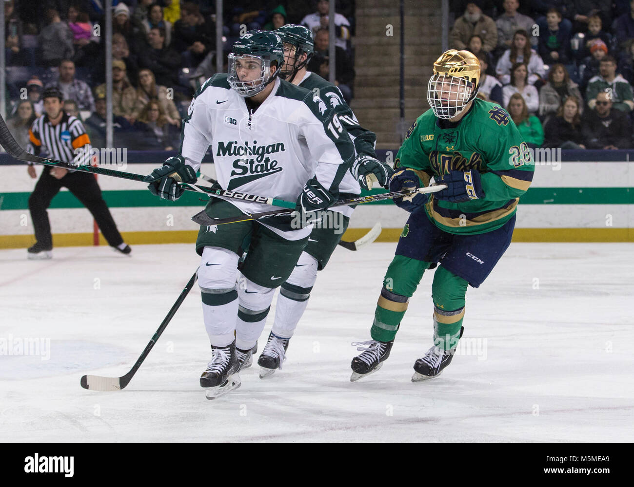 South Bend, Indiana, USA. 24th Feb, 2018. Michigan State forward David ...