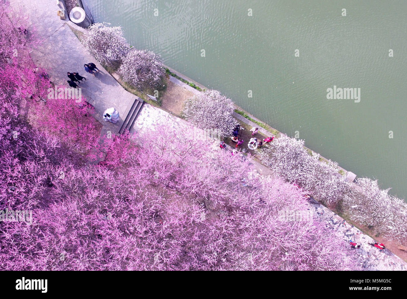 Beijing, China's Hunan Province. 23rd Feb, 2018. Tourists view plum ...