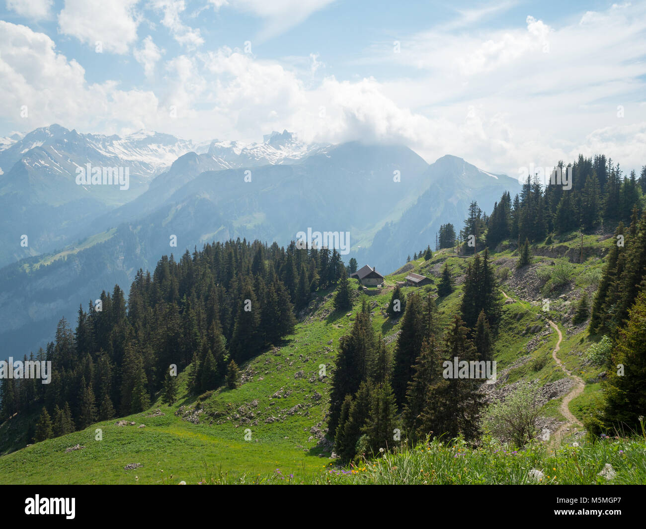 Bernese Alps landscape seen from Schynige Platte Stock Photo - Alamy