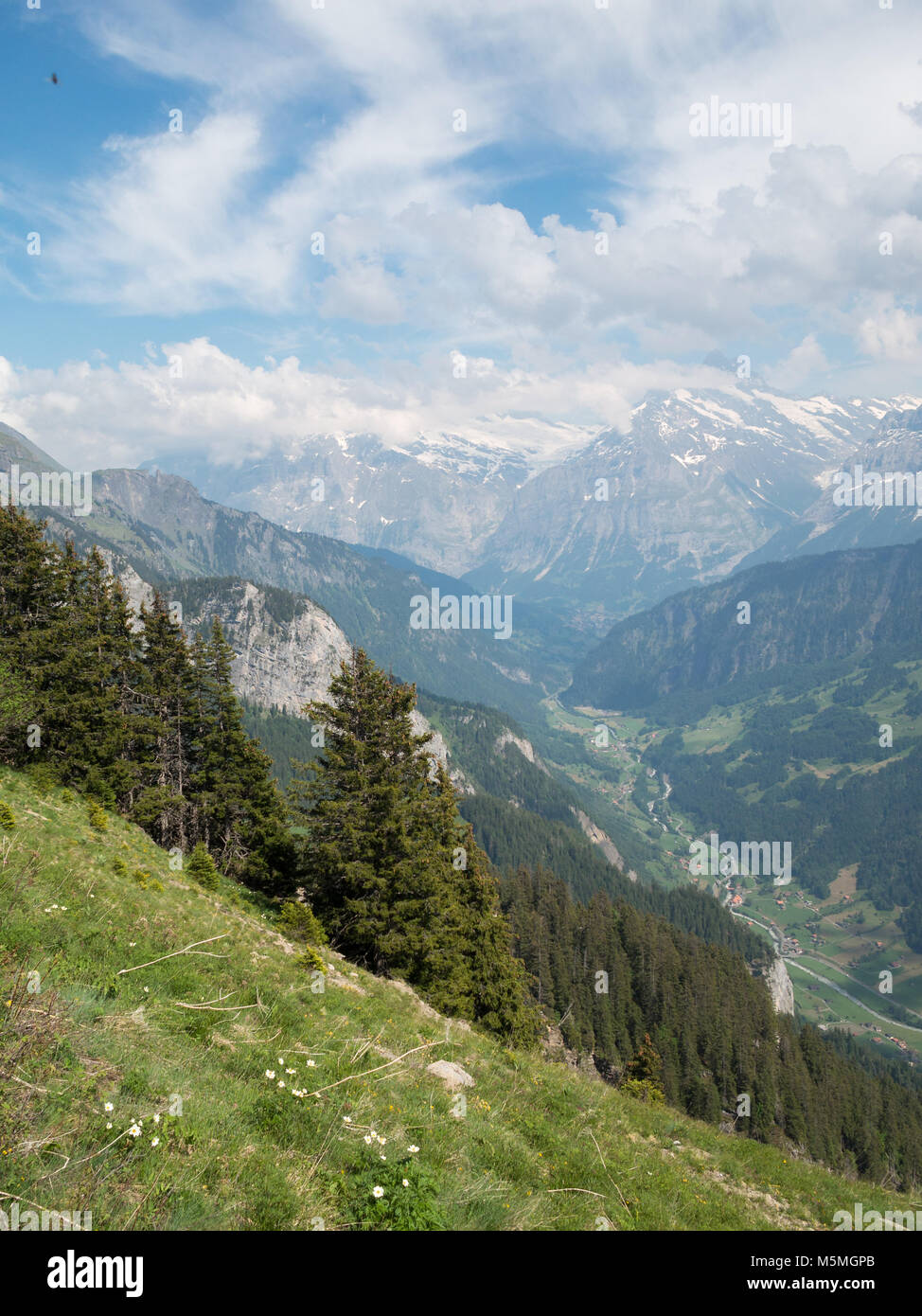 Bernese Alps landscape seen from Schynige Platte Stock Photo - Alamy