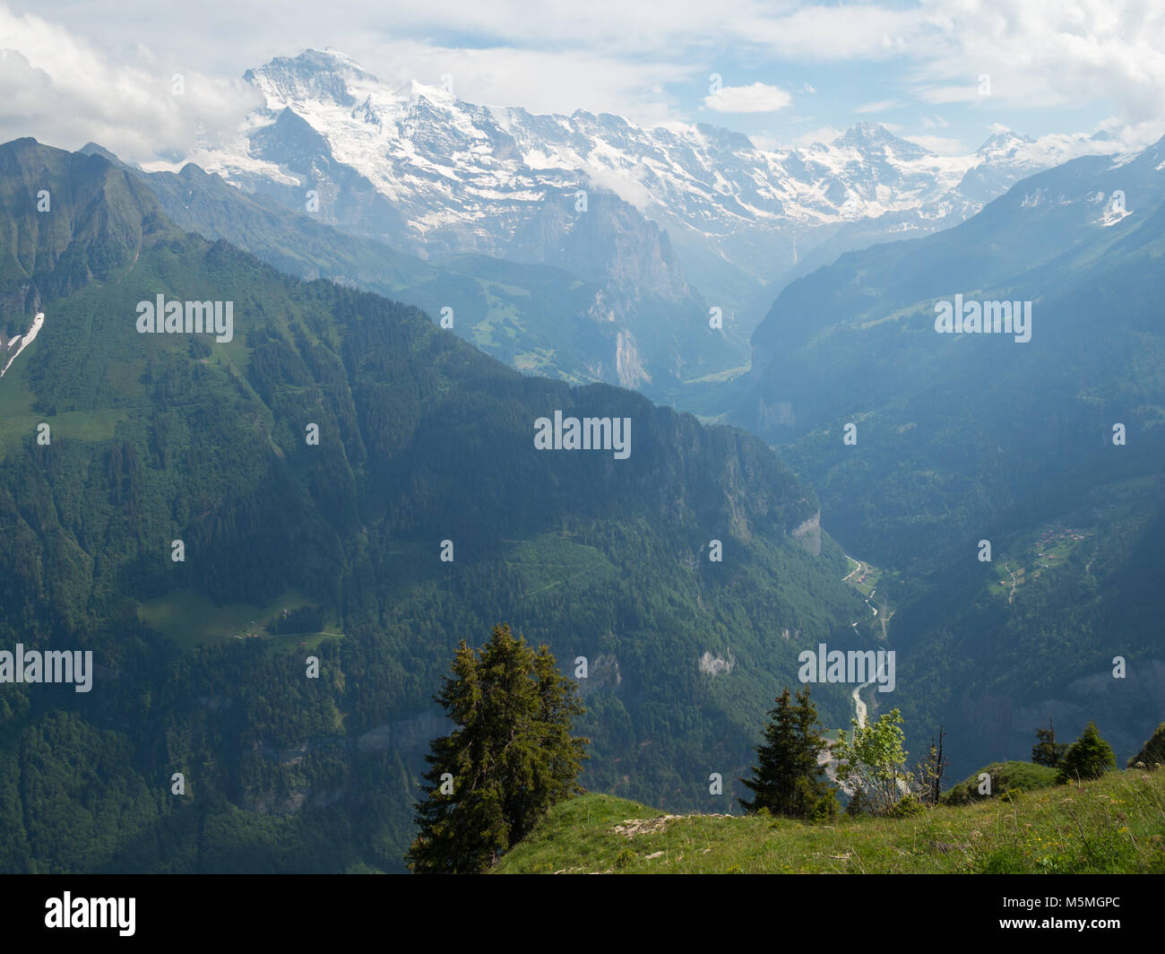 Bernese Alps landscape seen from Schynige Platte Stock Photo - Alamy