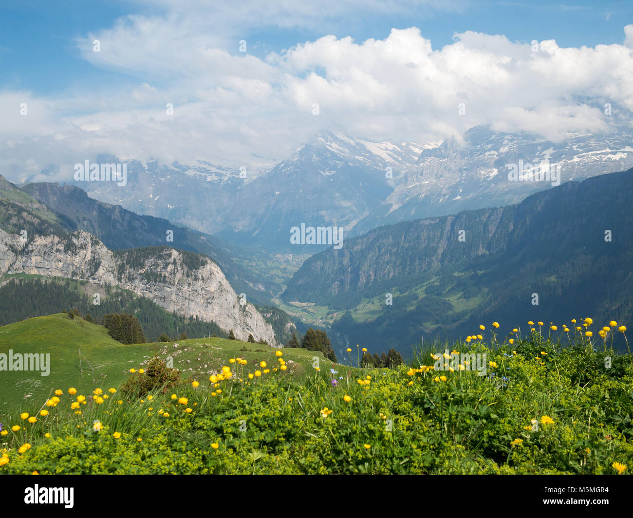 Schreckhorn hi-res stock photography and images - Alamy