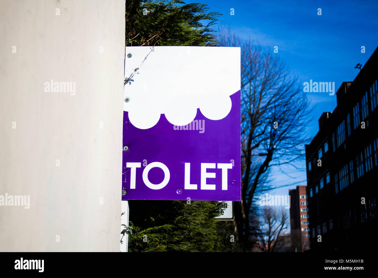 Real estate TO LET sign. TO LET sign Stock Photo - Alamy