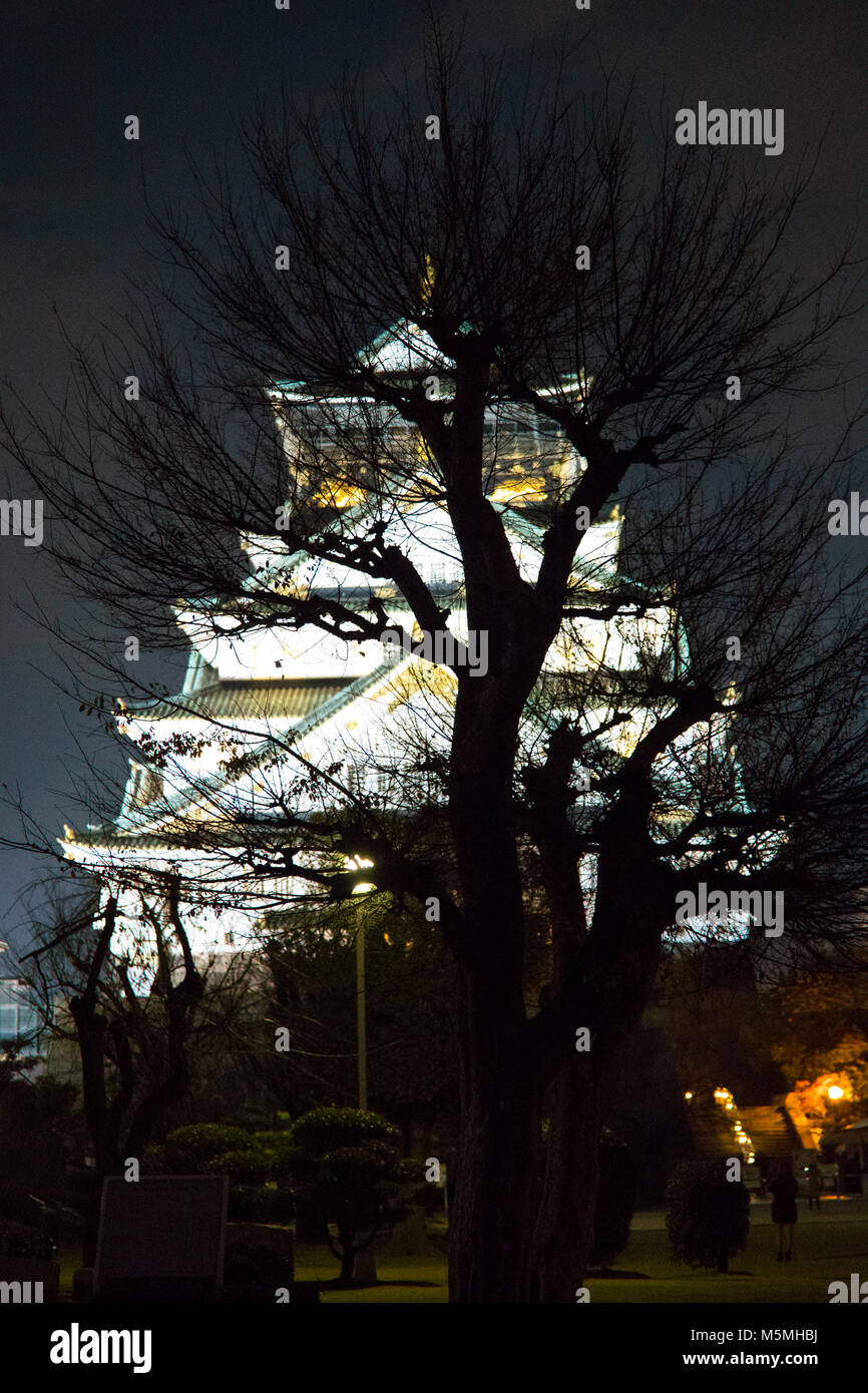 Osaka castle in the night ,Osaka ,JAPAN Stock Photo - Alamy