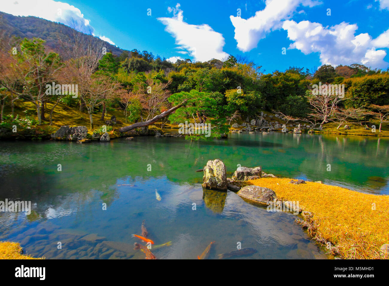 garden of the tenryu-ji temple, Arashiyama Kyoto Japan Stock Photo - Alamy
